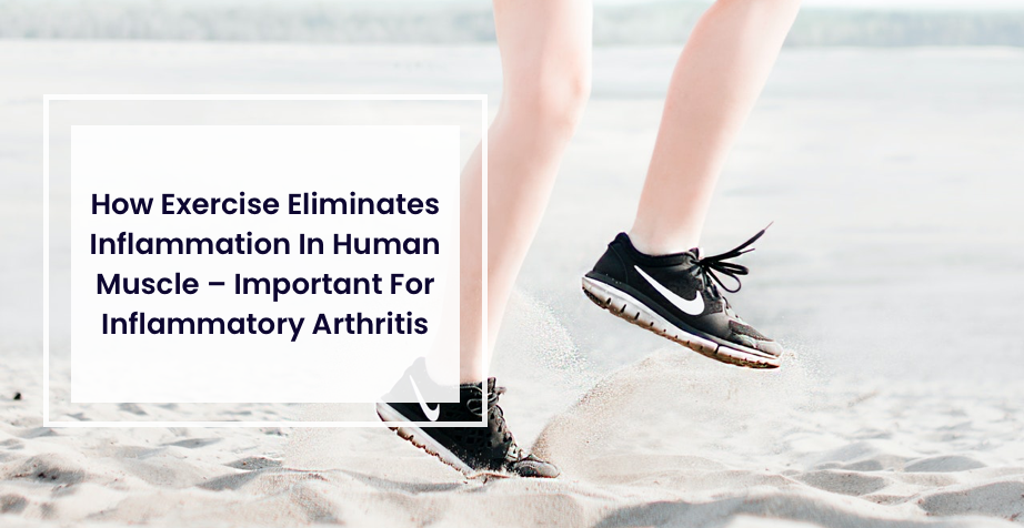 How Exercise Eliminates Inflammation In Human Muscle & Important For ...