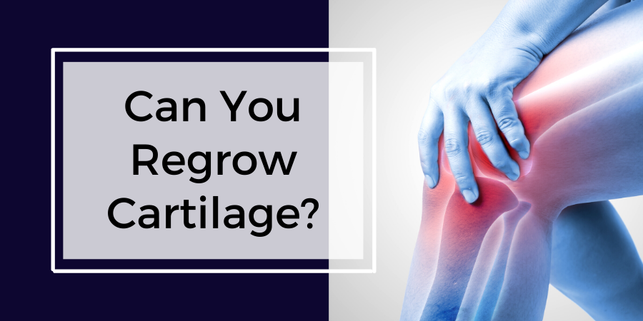 Can You Regrow Cartilage? - Rheumatoid Arthritis Solutions - Better ...